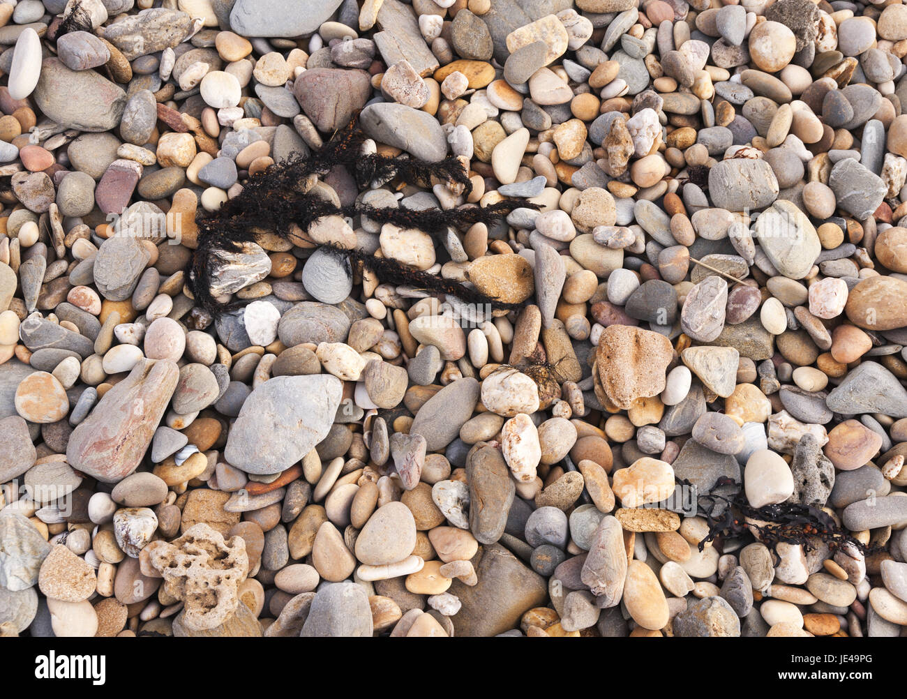 Collecting pebbles beach hi-res stock photography and images - Alamy