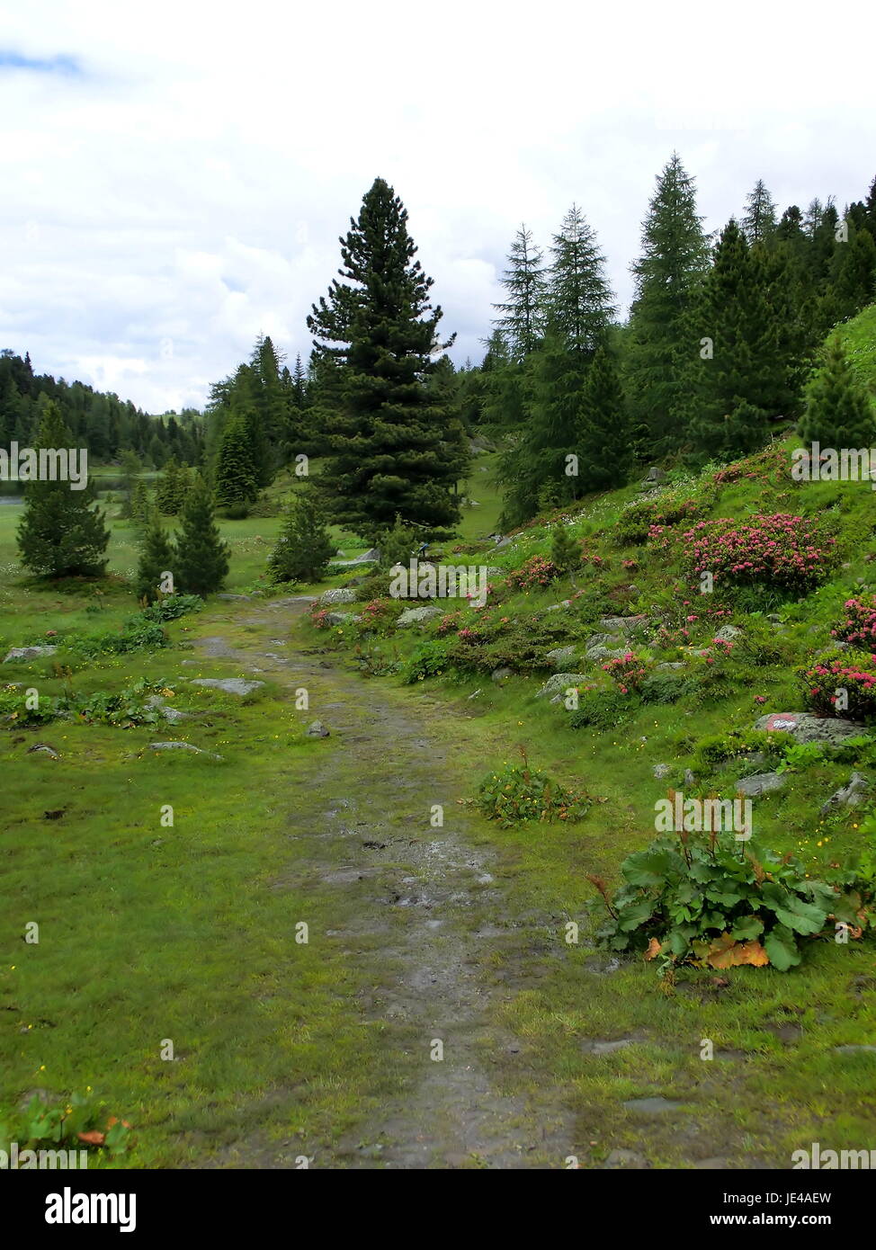 Turracher höhe hi-res stock photography and images - Alamy
