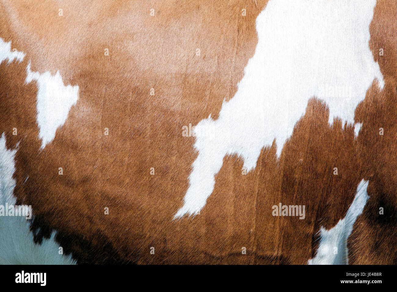 cowhide with abstract red and white pattern on side of cow Stock Photo ...