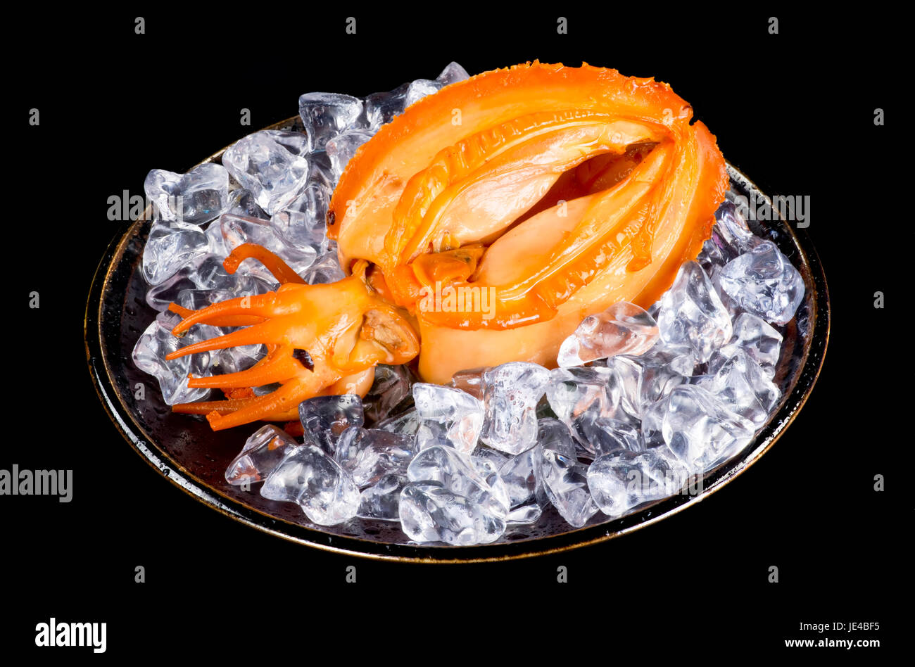 Giant cuttlefish hi-res stock photography and images - Alamy