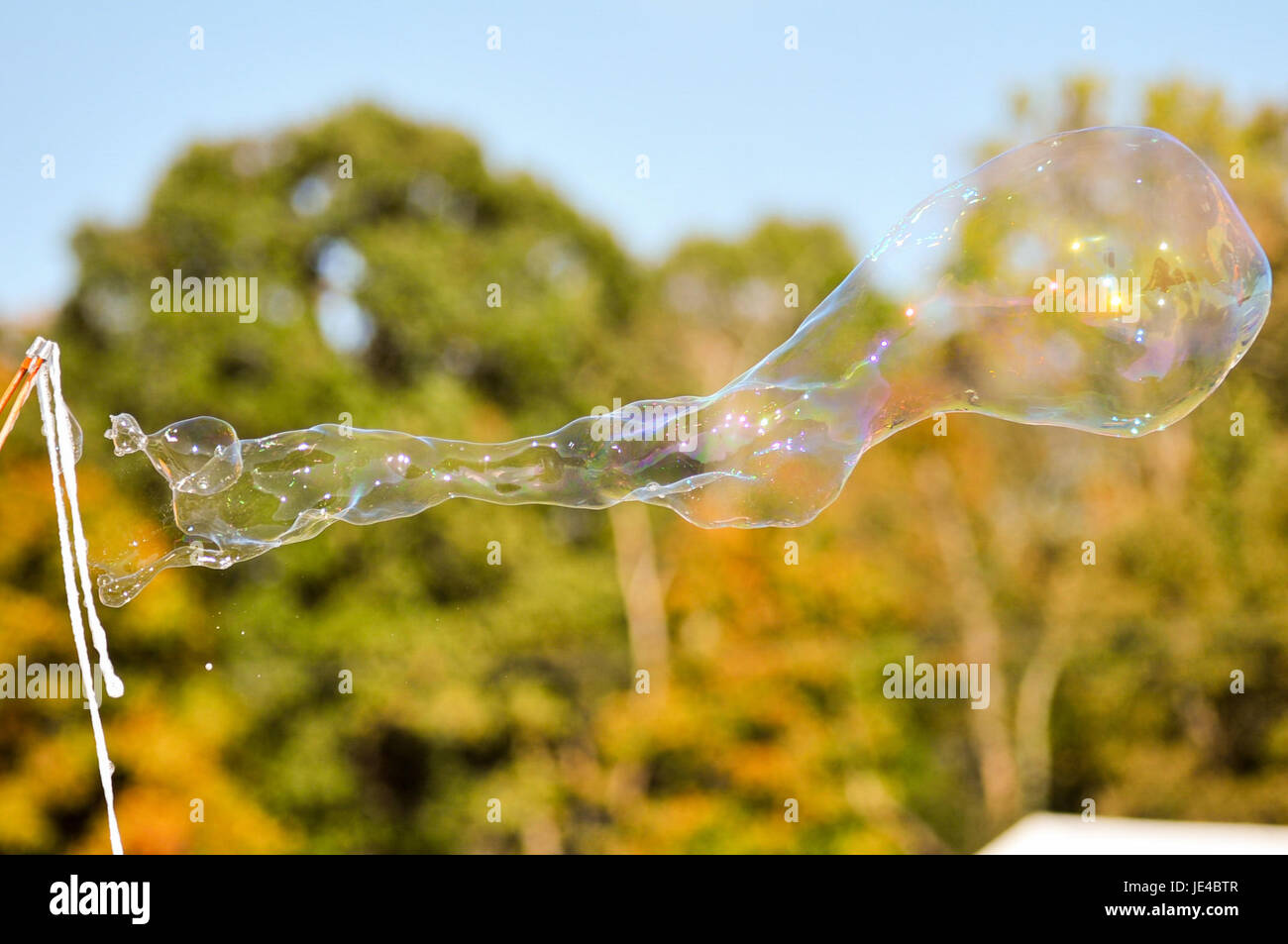 blowing bubble balloons on a field Stock Photo - Alamy