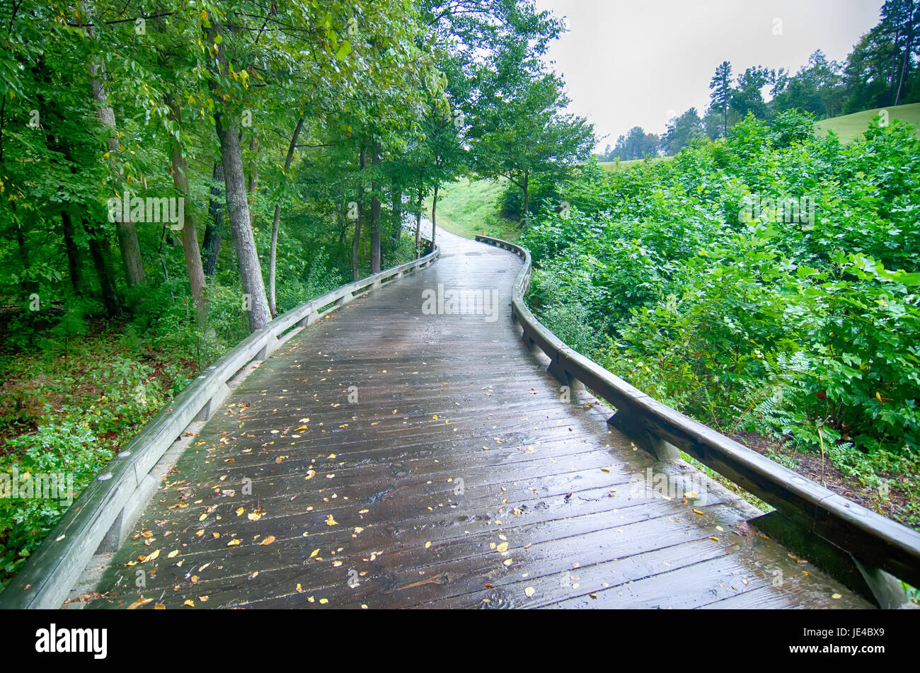 A wooden golf cart pathway bridge curves around trees Stock Photo - Alamy