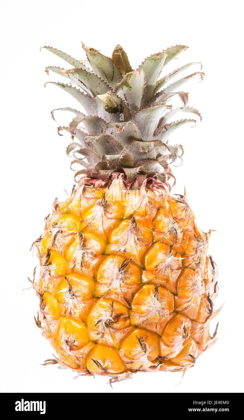 The pineapple on white background. Close up Stock Photo - Alamy