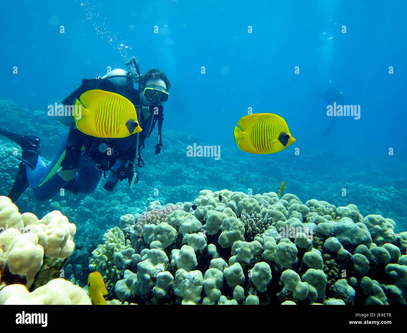 Fish masks hi-res stock photography and images - Alamy