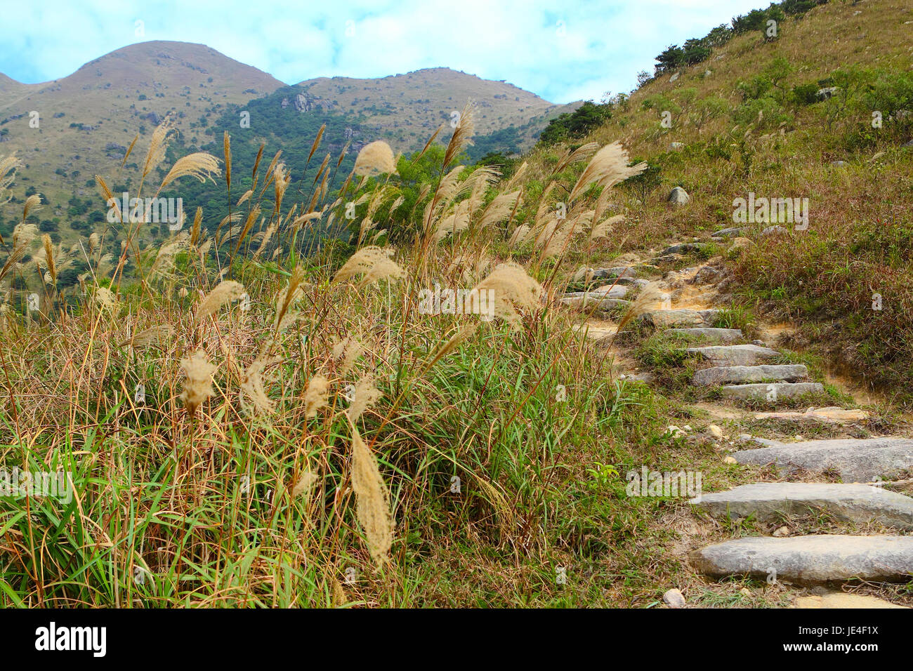 Stone path in the mountains Stock Photo - Alamy