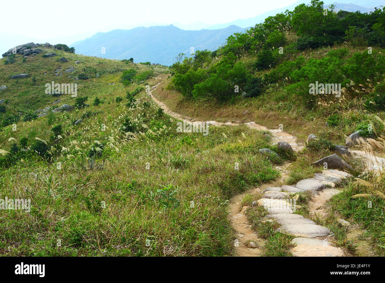 Stone path in the mountains Stock Photo - Alamy