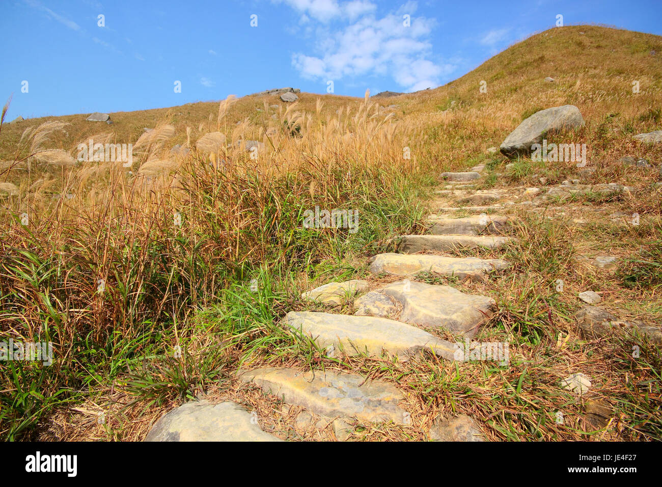 Stone path in the mountains Stock Photo - Alamy