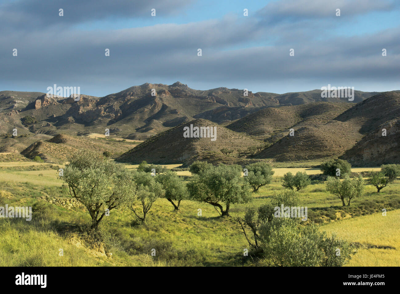 Beautiful Alhama Valley, La Rioja wine region, Spain Stock Photo - Alamy