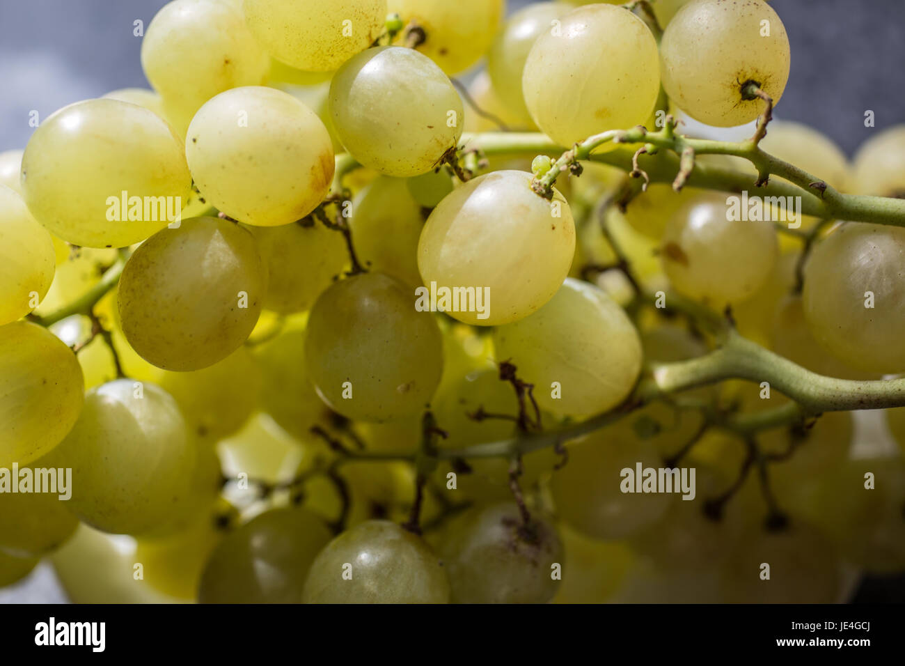 Trauben am Stiel Stock Photo - Alamy