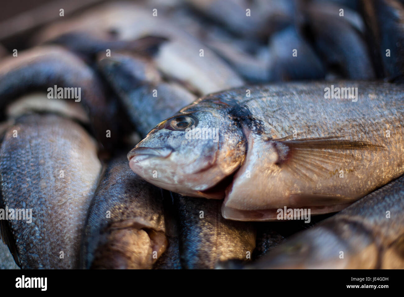 frischer Bratfisch - freish fried fish on the grill Stock Photo - Alamy