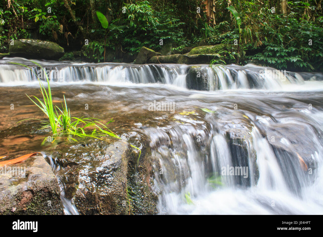 rainforest waterfall and rocks covered with moss Stock Photo - Alamy
