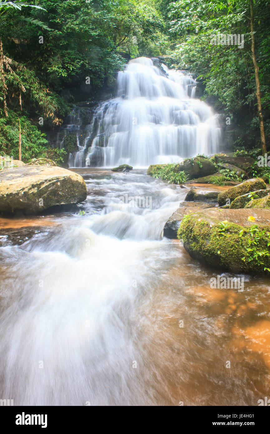 rainforest waterfall and rocks covered with moss Stock Photo - Alamy