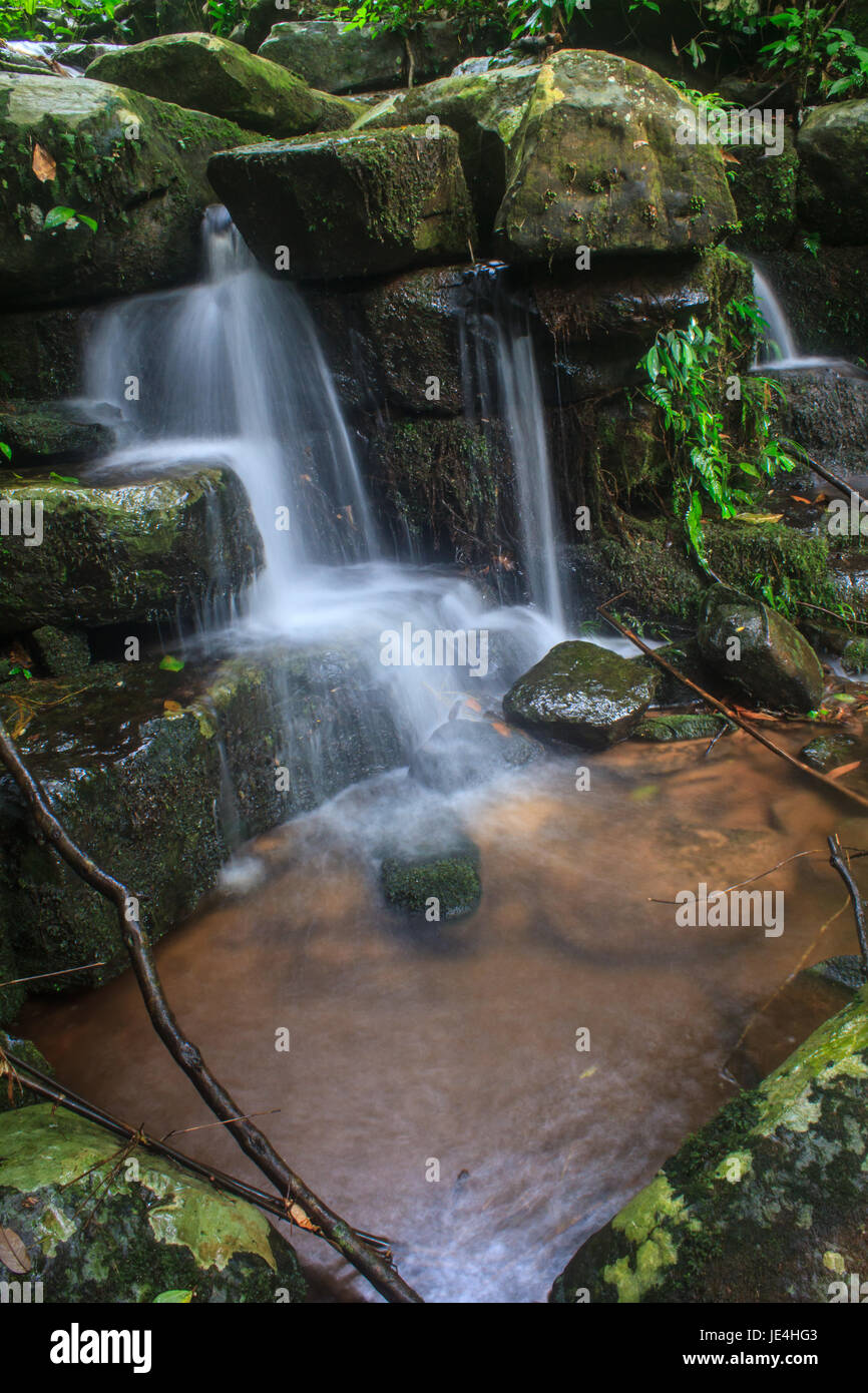 rainforest waterfall and rocks covered with moss Stock Photo - Alamy