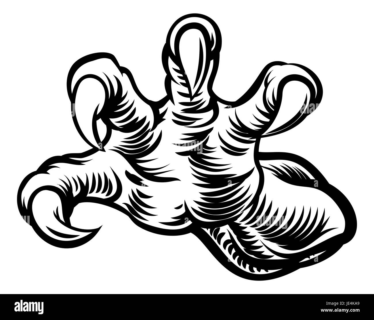 Talons claws foot hi-res stock photography and images - Alamy