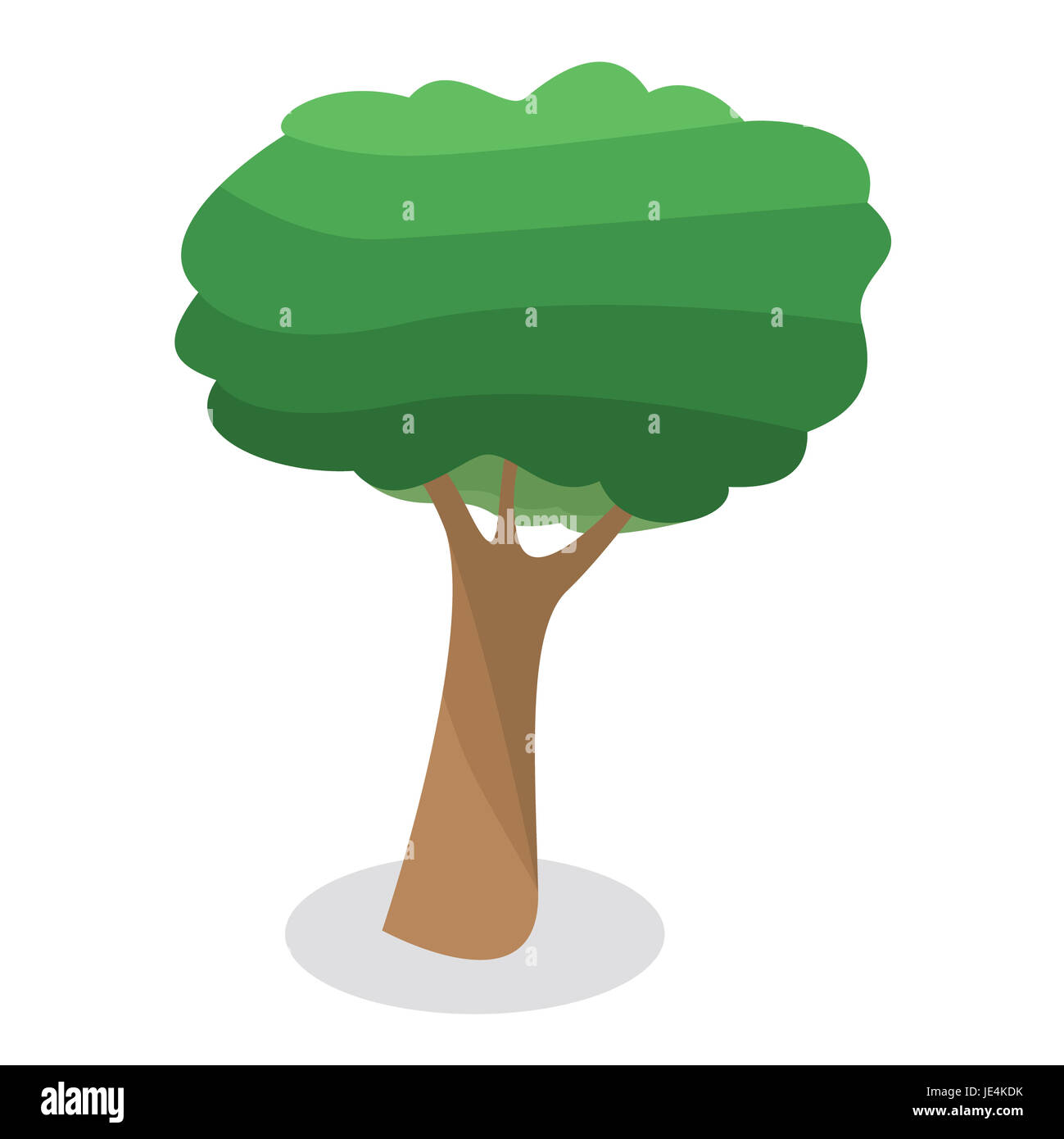 Cartoon shaded summer time style tree isolated on white background ...