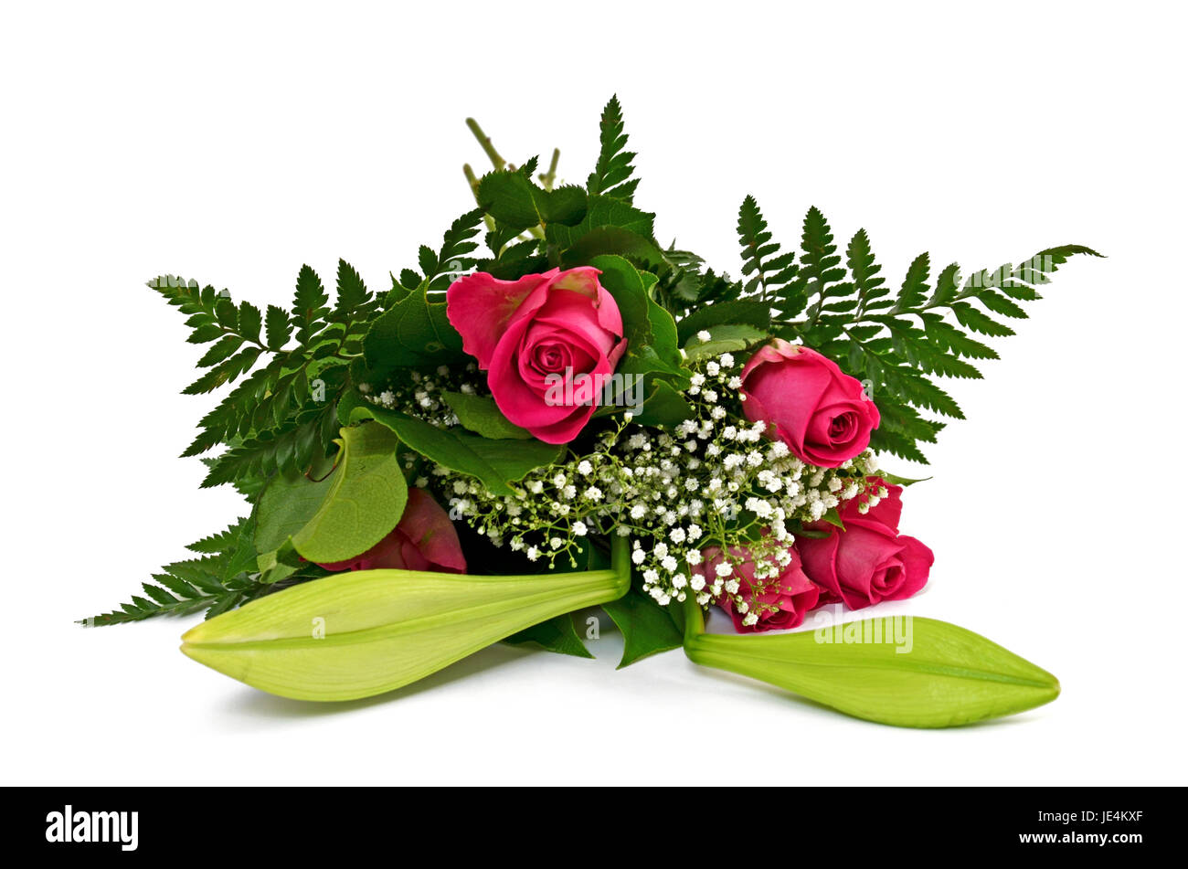 Pale yellow flowers Cut Out Stock Images & Pictures - Alamy