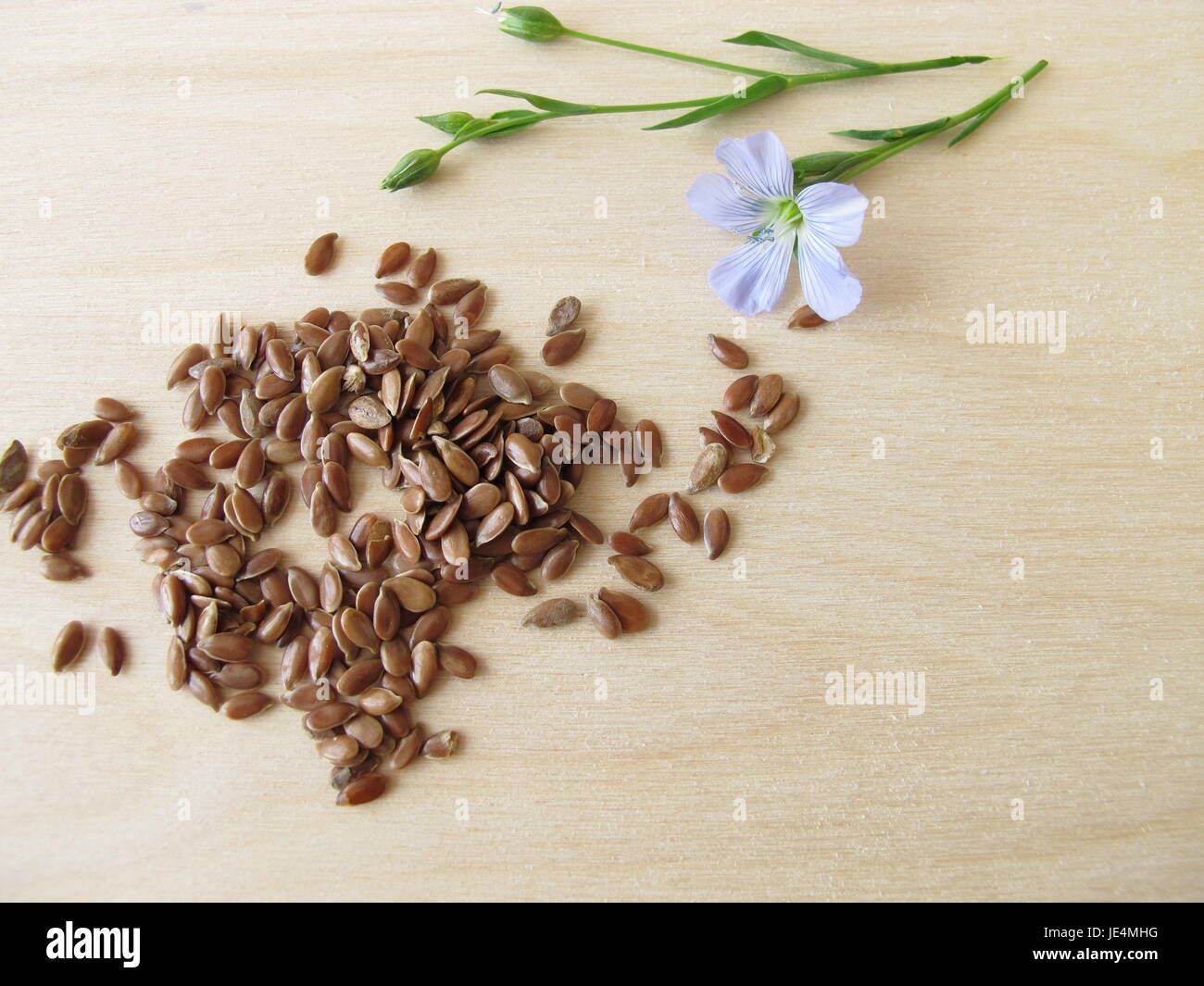 blauer lein leinsaat Stock Photo - Alamy