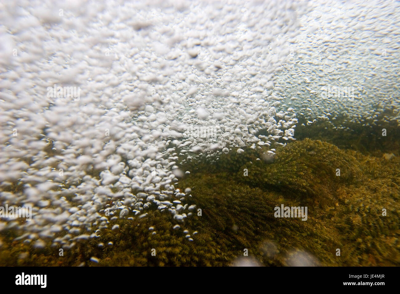 Bubbles water moss inside hi-res stock photography and images - Alamy