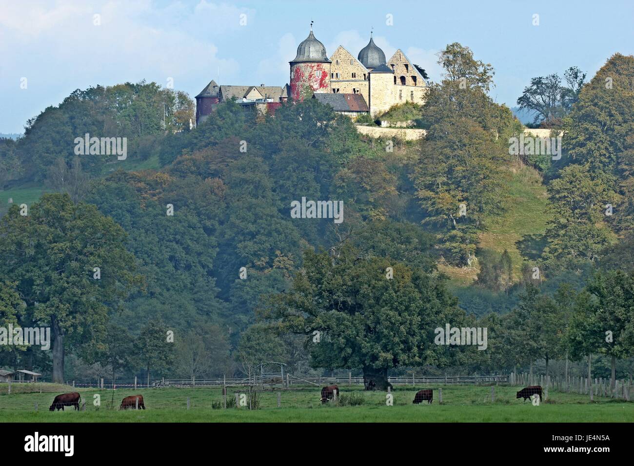 the sababurg in autumn Stock Photo - Alamy