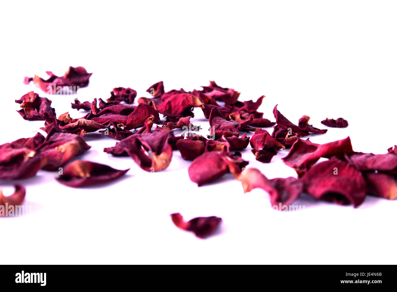 red rose petals on a white background Stock Photo - Alamy