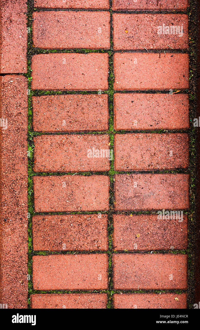 Grass between bricks hi-res stock photography and images - Alamy