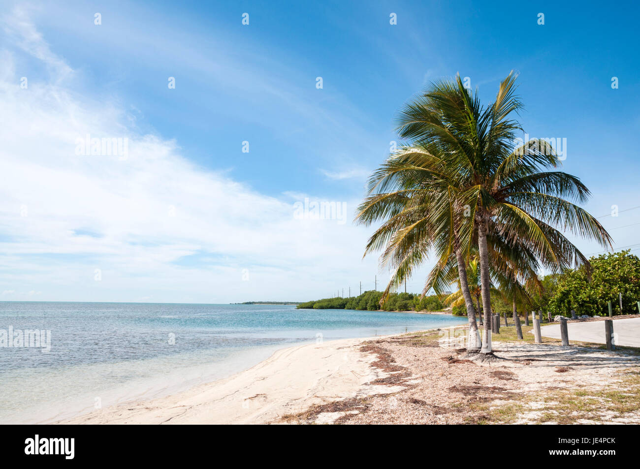 Beautiful tropical beach in Florida Keys Stock Photo - Alamy