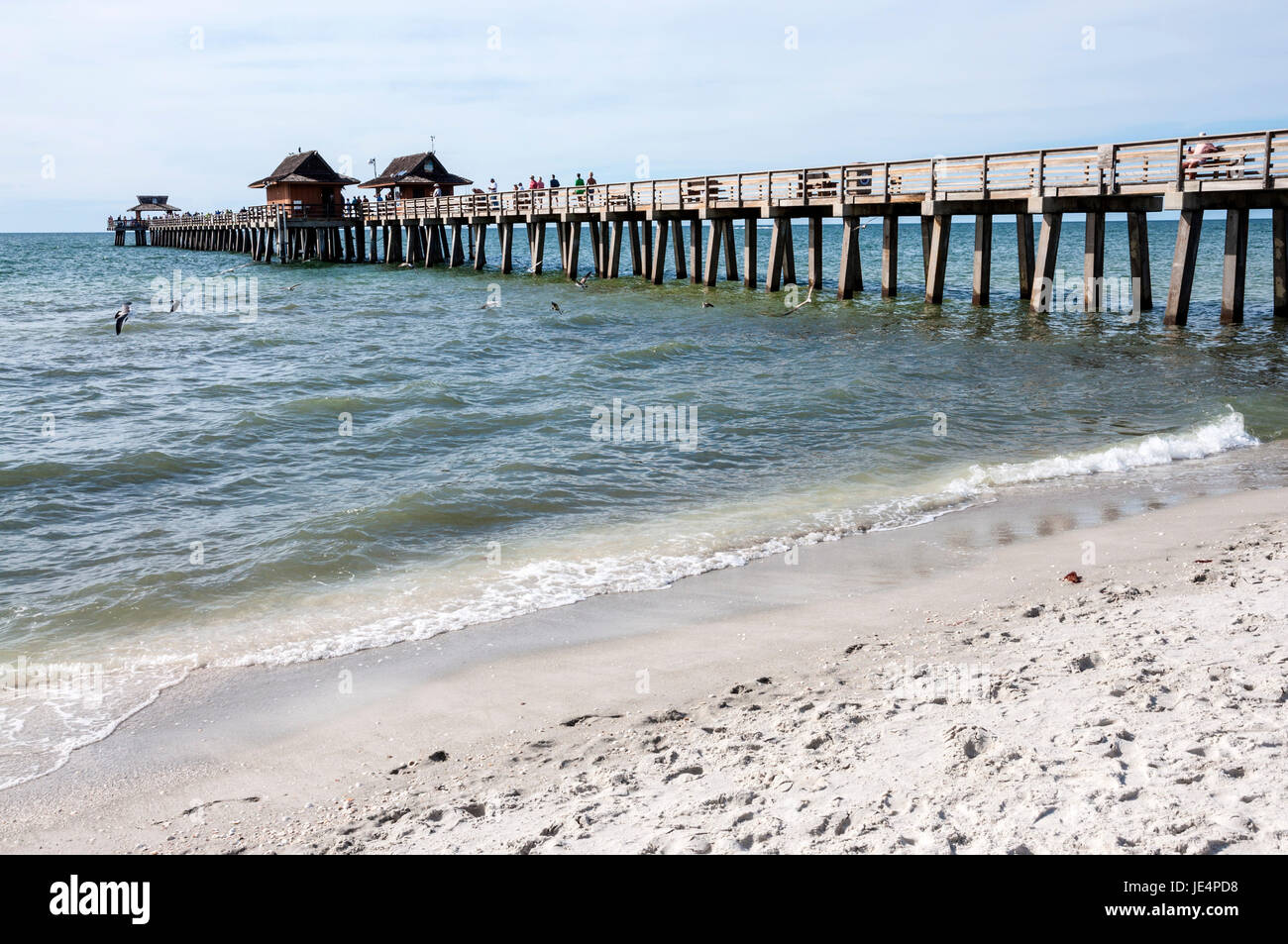 Pier at the Gulf of Mexico coast in Naples, Florida, USA Stock Photo ...