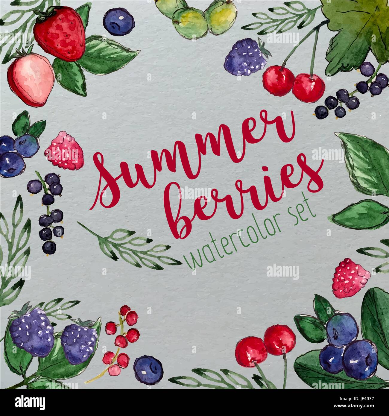 Realistic watercolor grape Stock Vector Images - Alamy