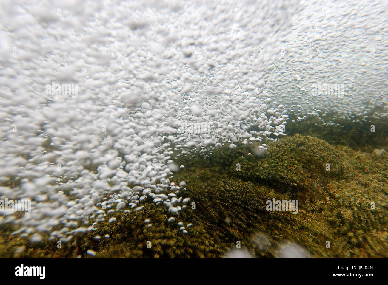 Bubbles and the water moss inside the waterfalls of the Mrežnica River ...