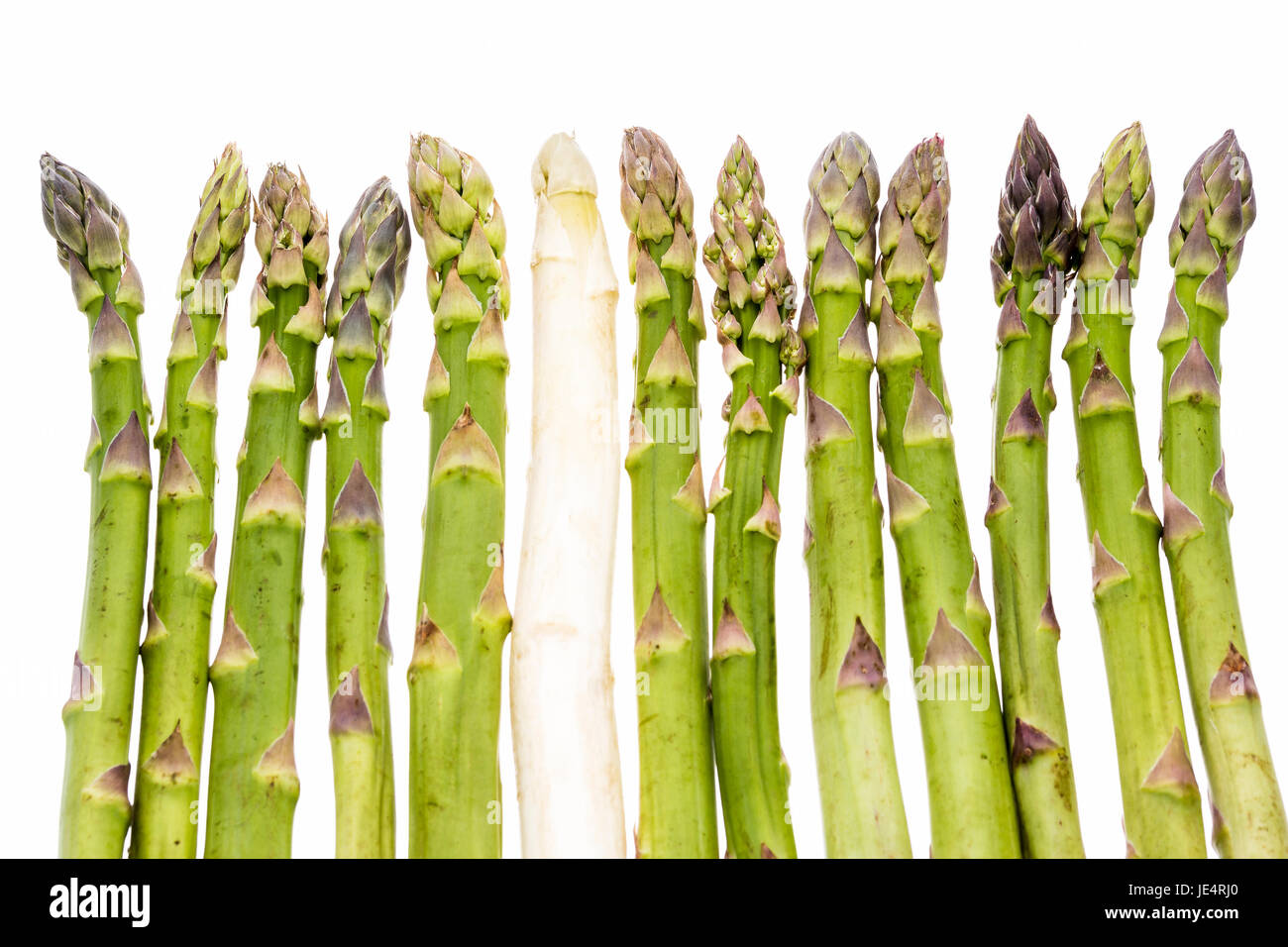 One single white asparagus spear amidst a line-up of twelve green ...