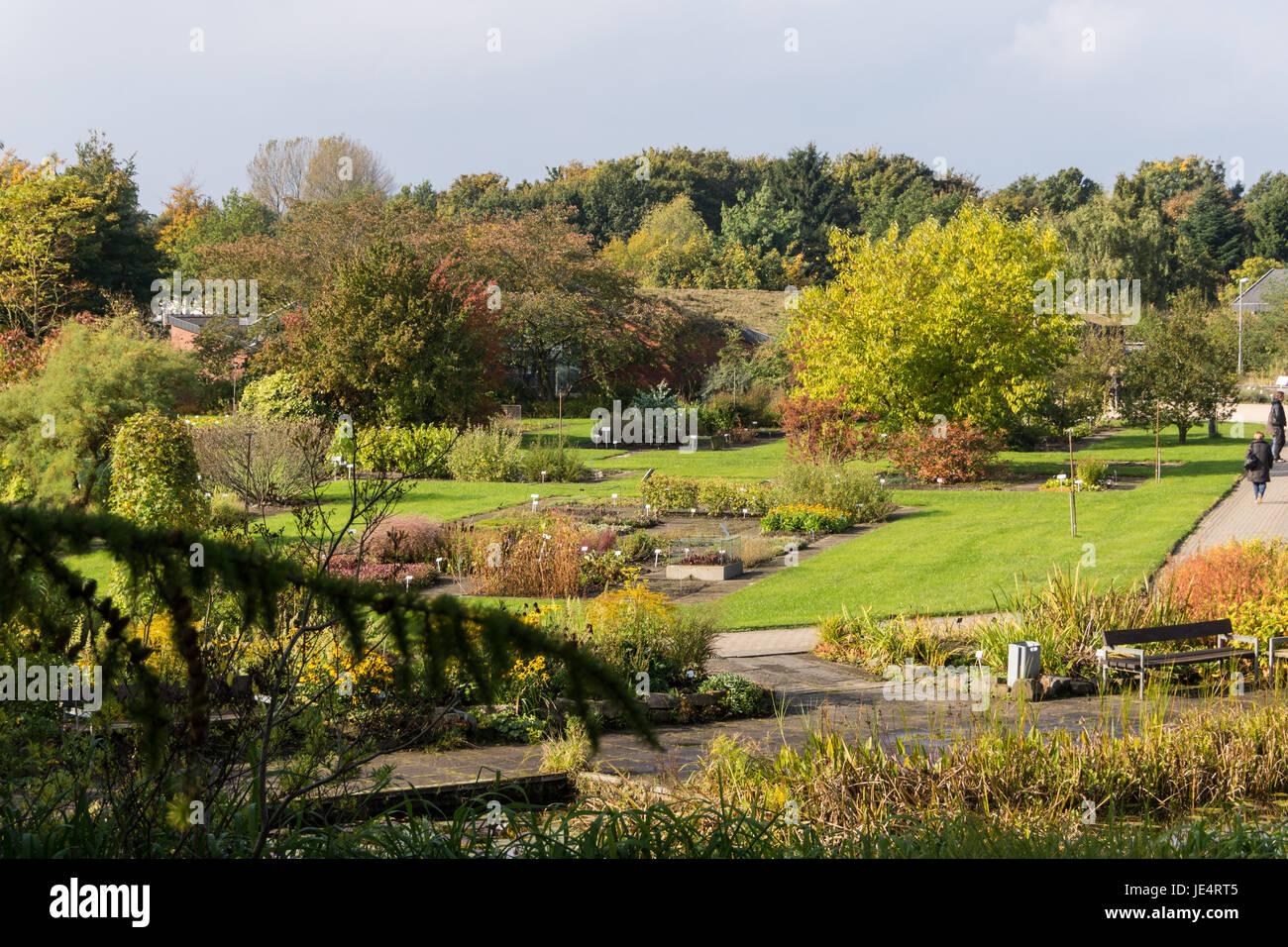 An autumn landscape in a forest in Kiel Stock Photo - Alamy