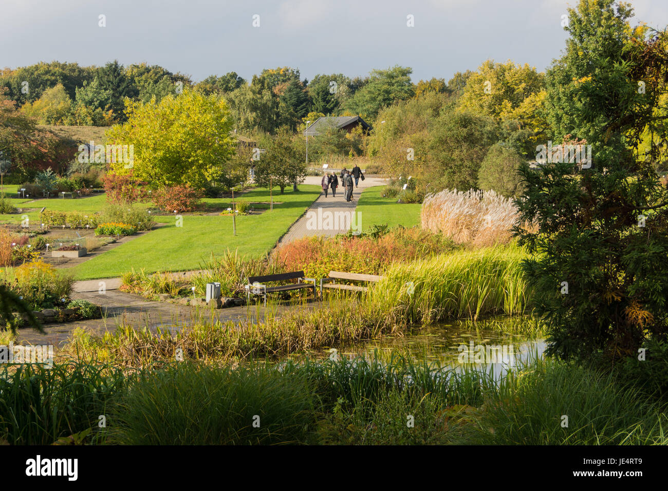 An autumn landscape in a forest in Kiel Stock Photo - Alamy