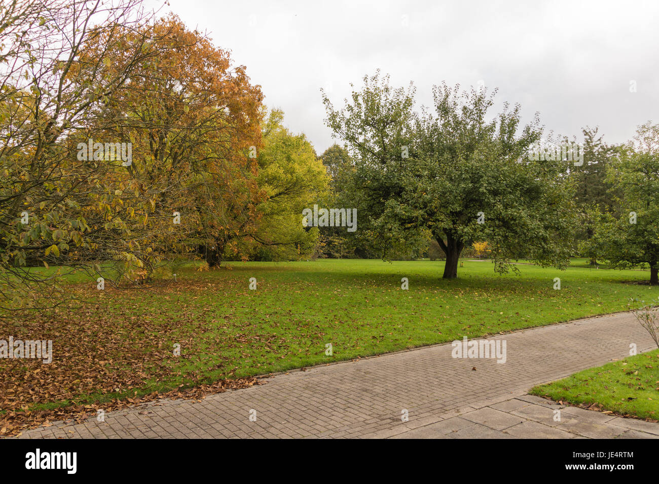 An autumn landscape in a forest in Kiel Stock Photo - Alamy