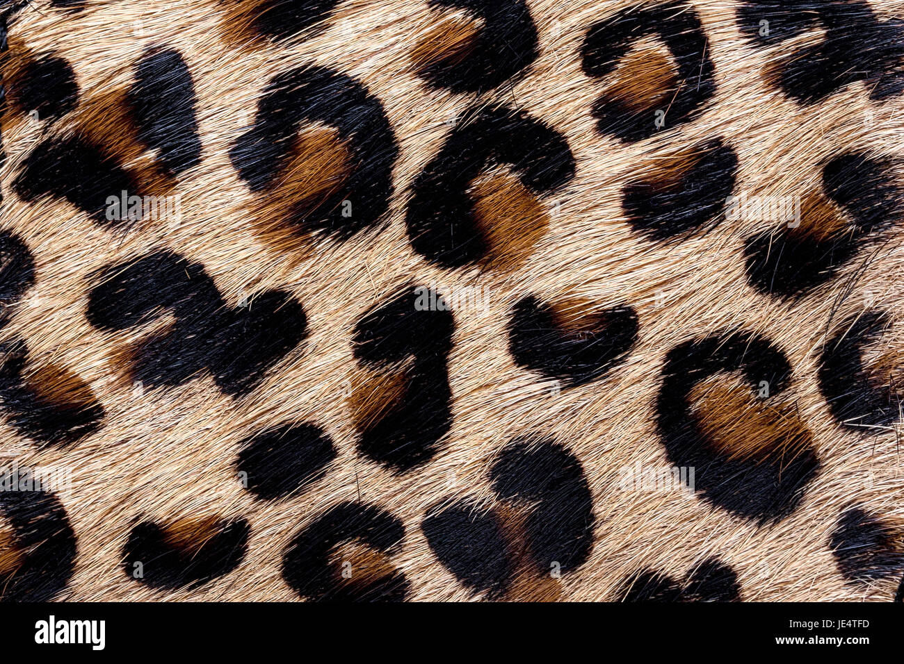 material in animal skin pattern,a background or texture Stock Photo - Alamy