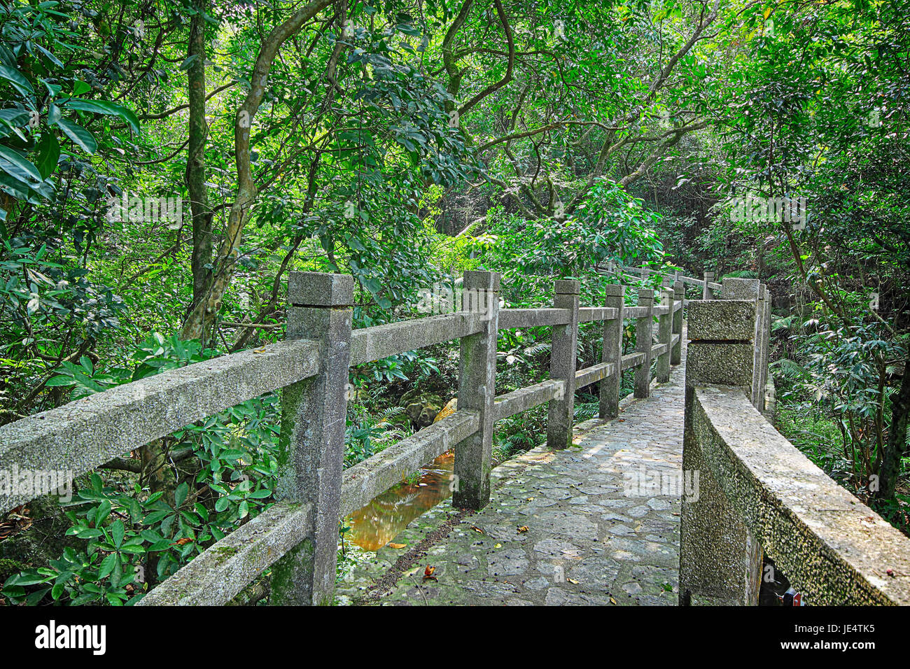 Bridge in the forest Stock Photo - Alamy