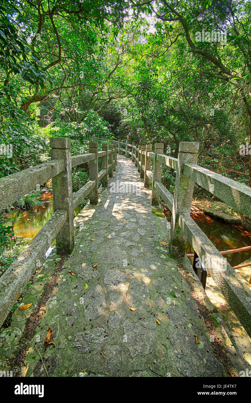 Bridge in the forest Stock Photo - Alamy