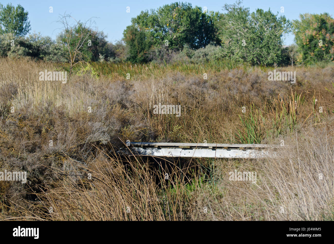 Wooden Footbridge Deep in the Marsh Stock Photo - Alamy