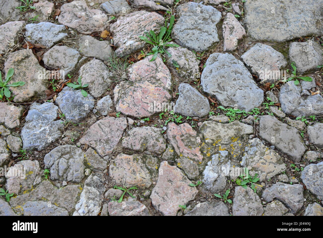 paving stones - majorca - spain Stock Photo - Alamy