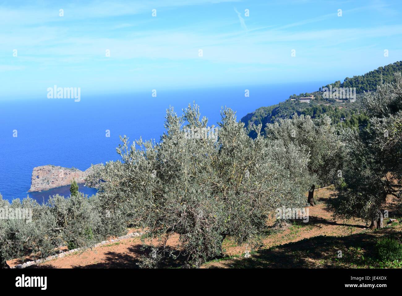 spain mallorca peninsula na foradada Stock Photo - Alamy