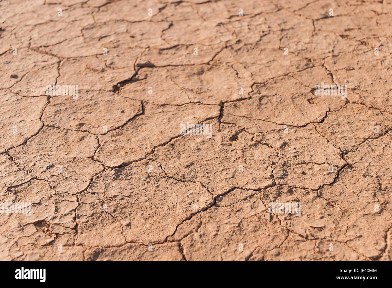 Dried Cracked ground texture - exhausted terrain without water Stock ...