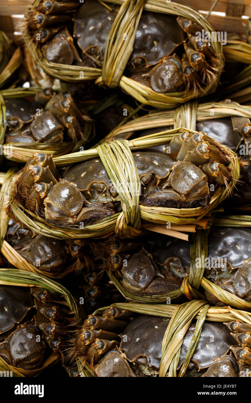 Yangcheng lake hairy crabs hi-res stock photography and images - Alamy