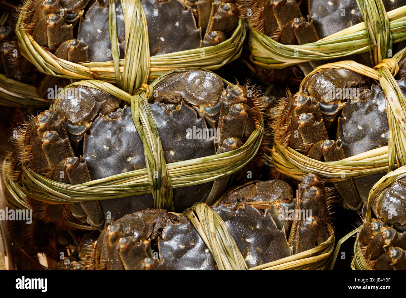 Group of crabs Stock Photo - Alamy