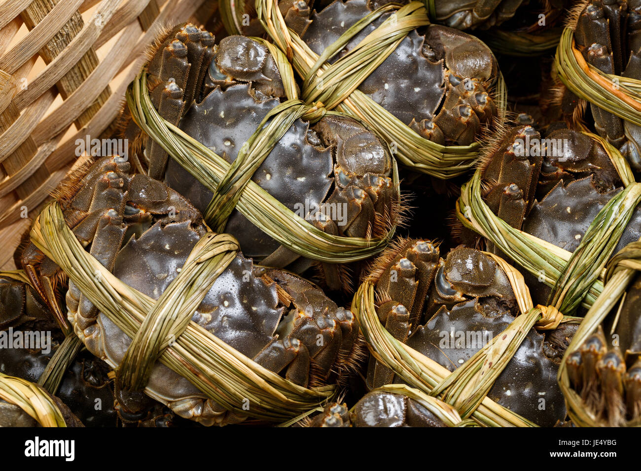 Yangcheng lake hairy crabs hi-res stock photography and images - Alamy