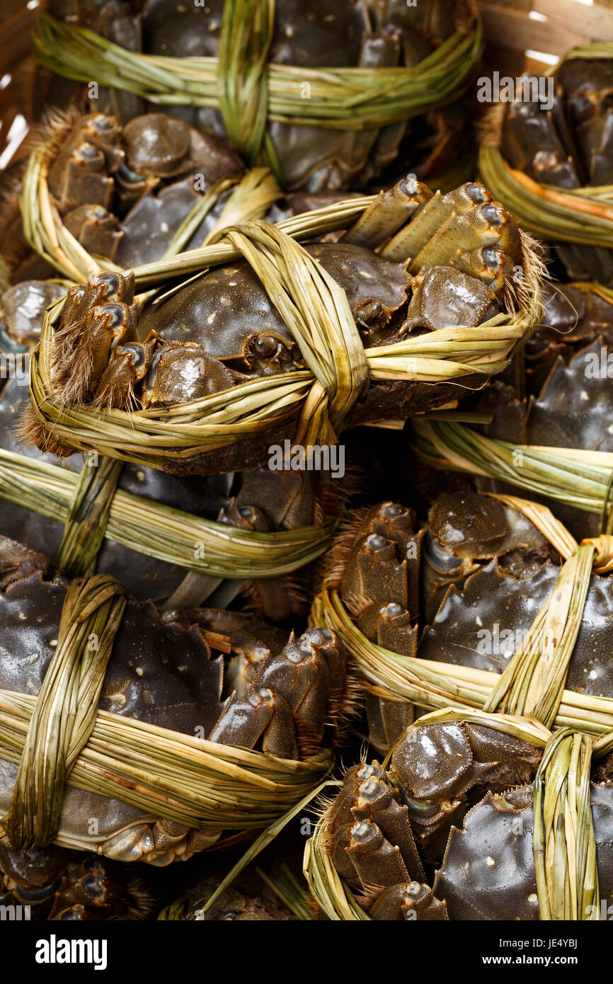 Shanghai hairy crabs hi-res stock photography and images - Alamy