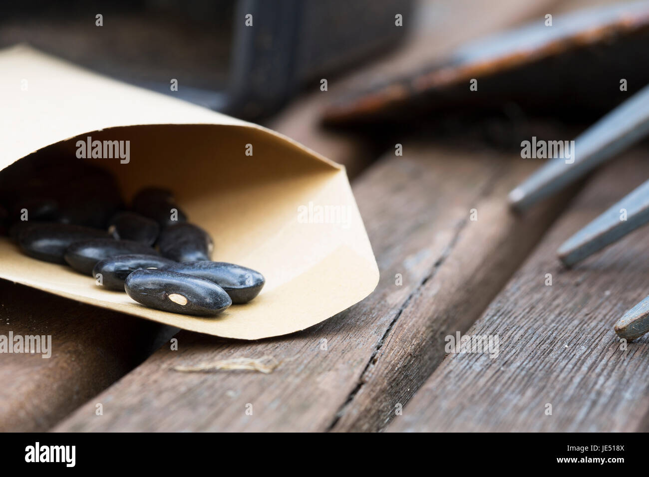 Black green beans seeds in packet on garden table ready for planting ...