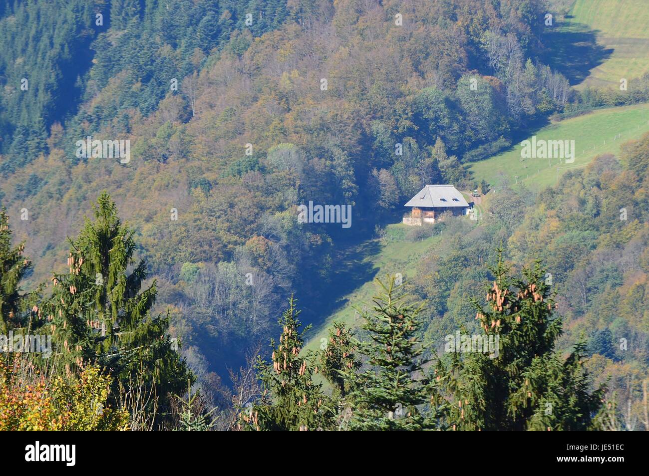 Black forest hut hi-res stock photography and images - Alamy