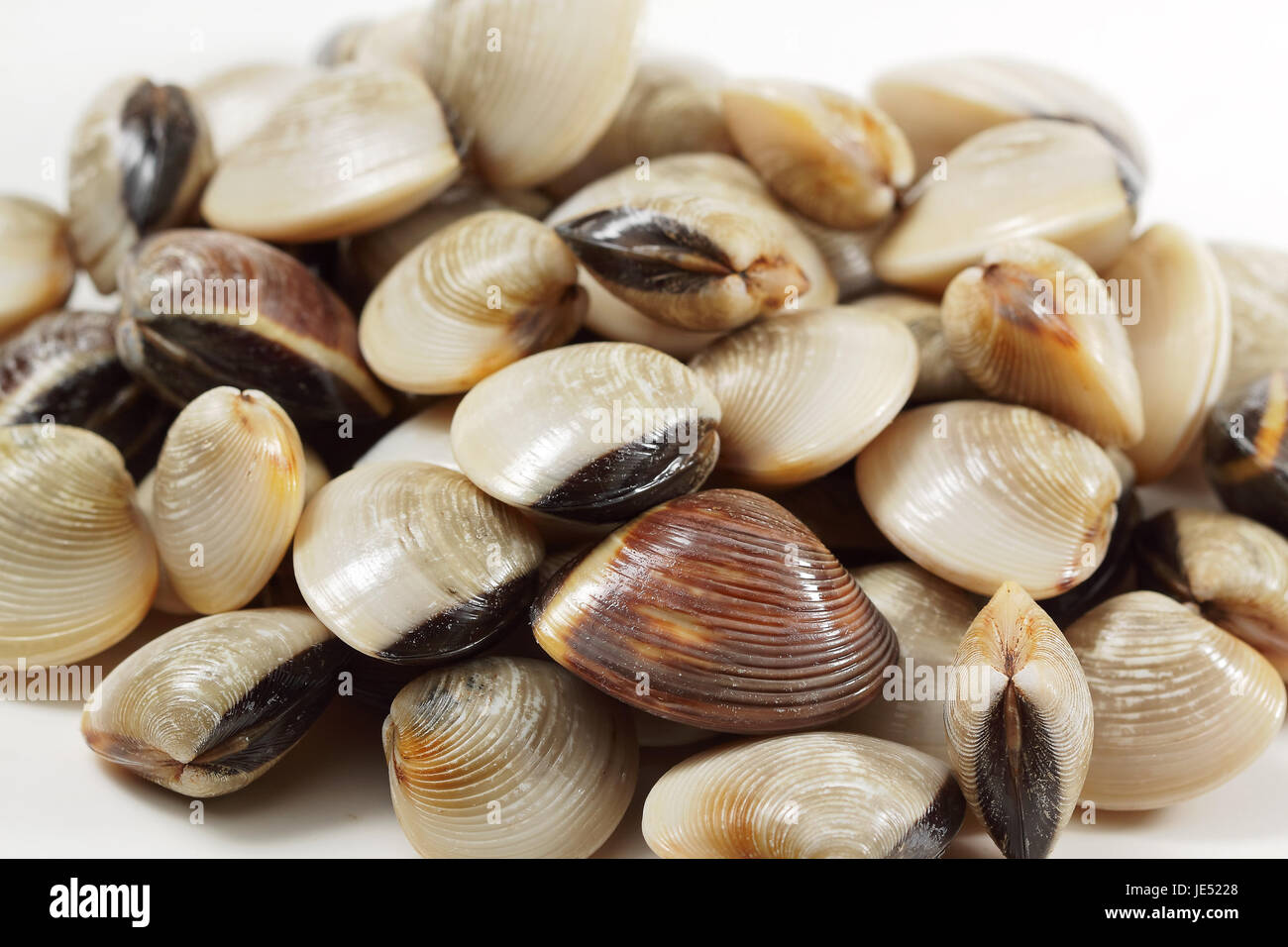 Steamers clams hi-res stock photography and images - Alamy
