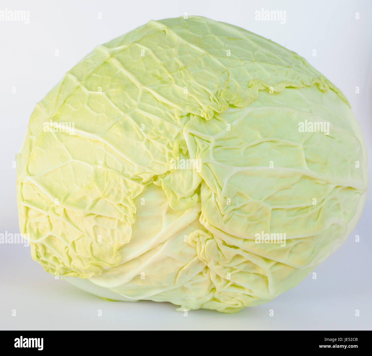 Cabbage leafy vegetable plant with edible leaves Stock Photo - Alamy