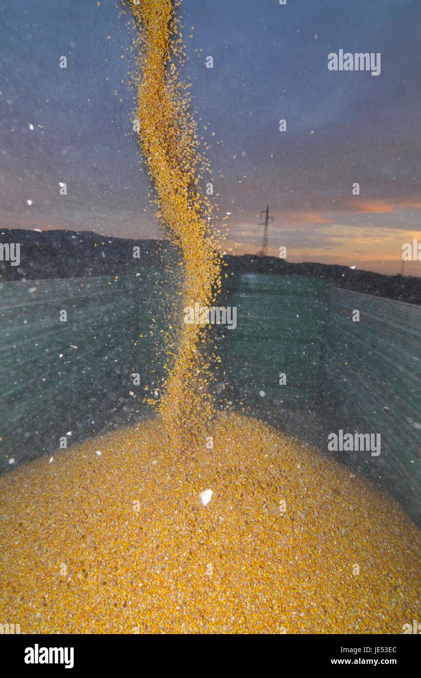 Getreide ernten hi-res stock photography and images - Alamy