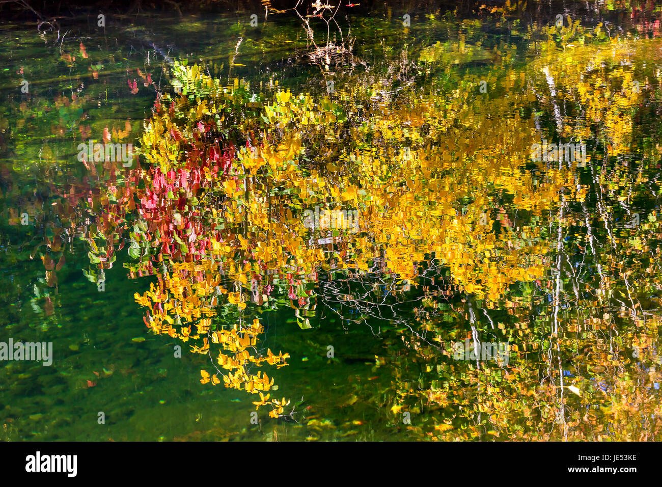Yellow Red Leaves Fall Colors Reflection Wenatchee River Stevens Pass ...